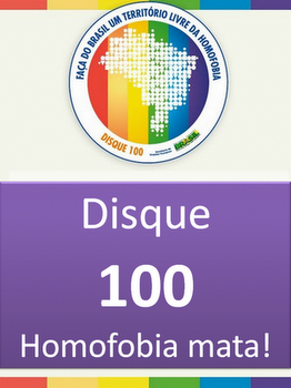 Com passeata em SP, ministra lança Disque 100 contra homofobia - Geledés