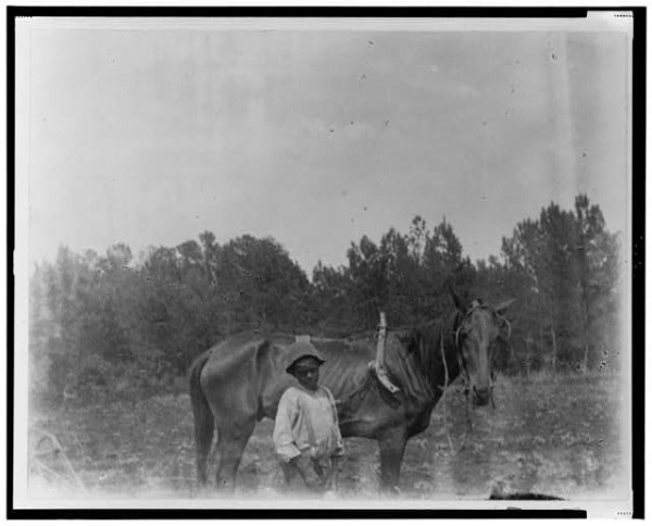 30 Rare Portraits of African American Life in 1900